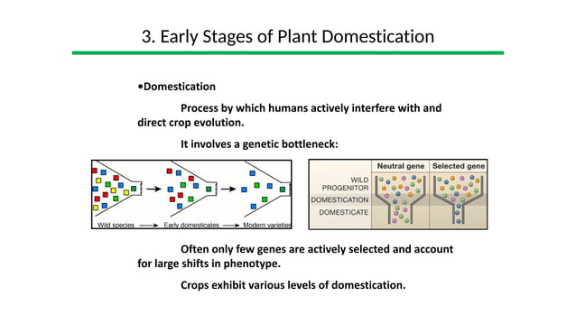 The dynamics of plant domestication.pdf