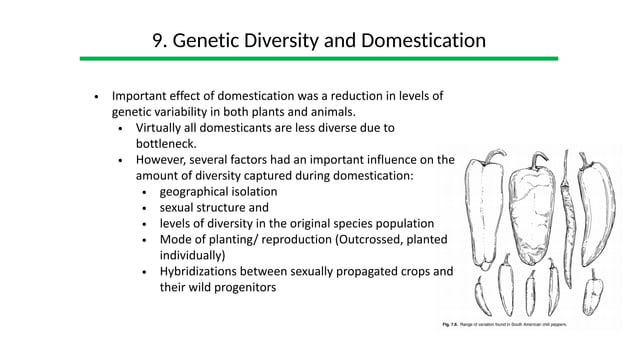 The dynamics of plant domestication.pdf