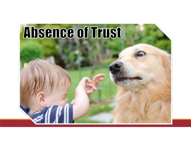 The dysfunctional church absence of trust | PPT