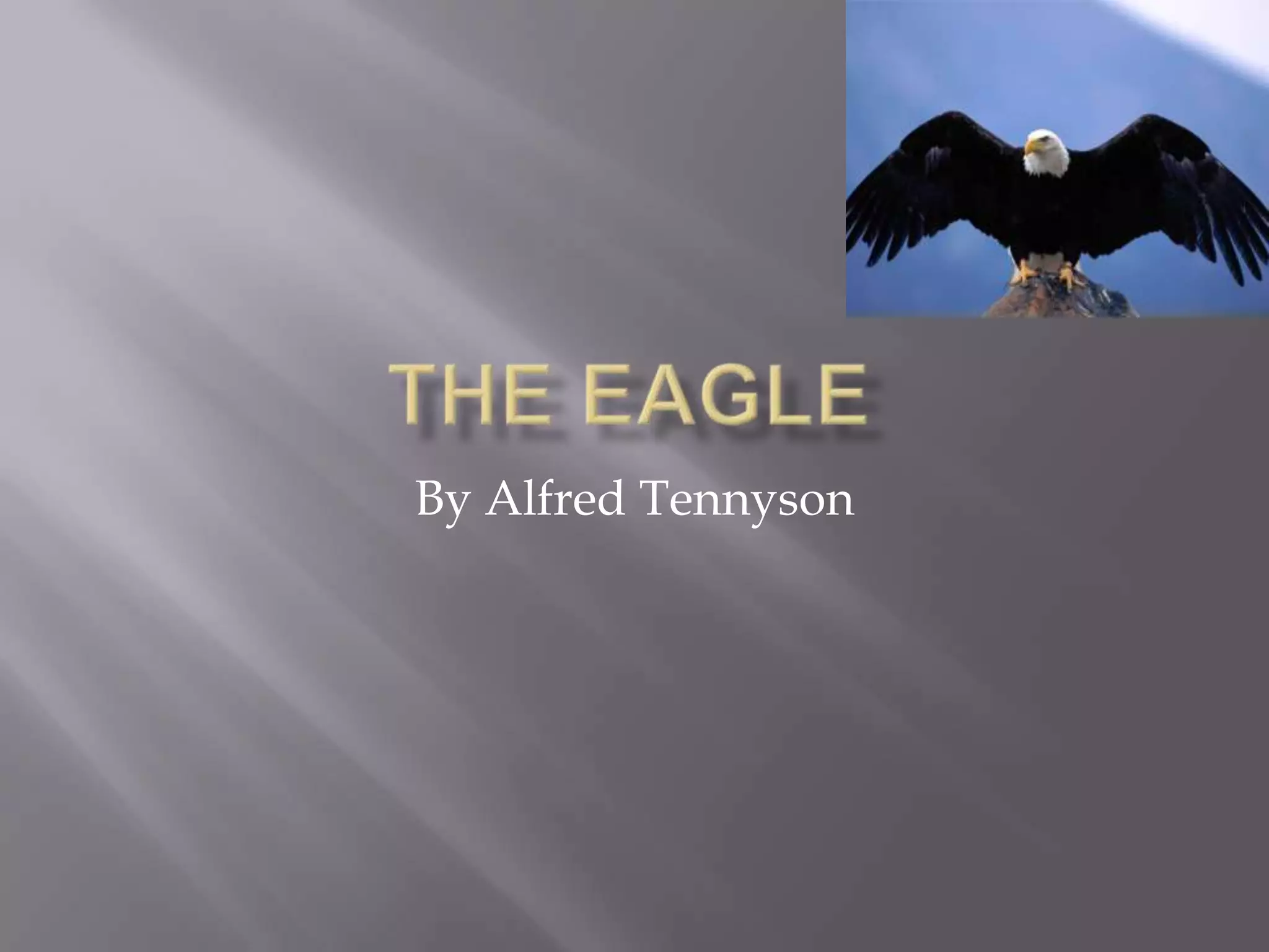 The eagle power point | PPTX