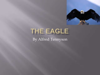 The eagle power point | PPTX