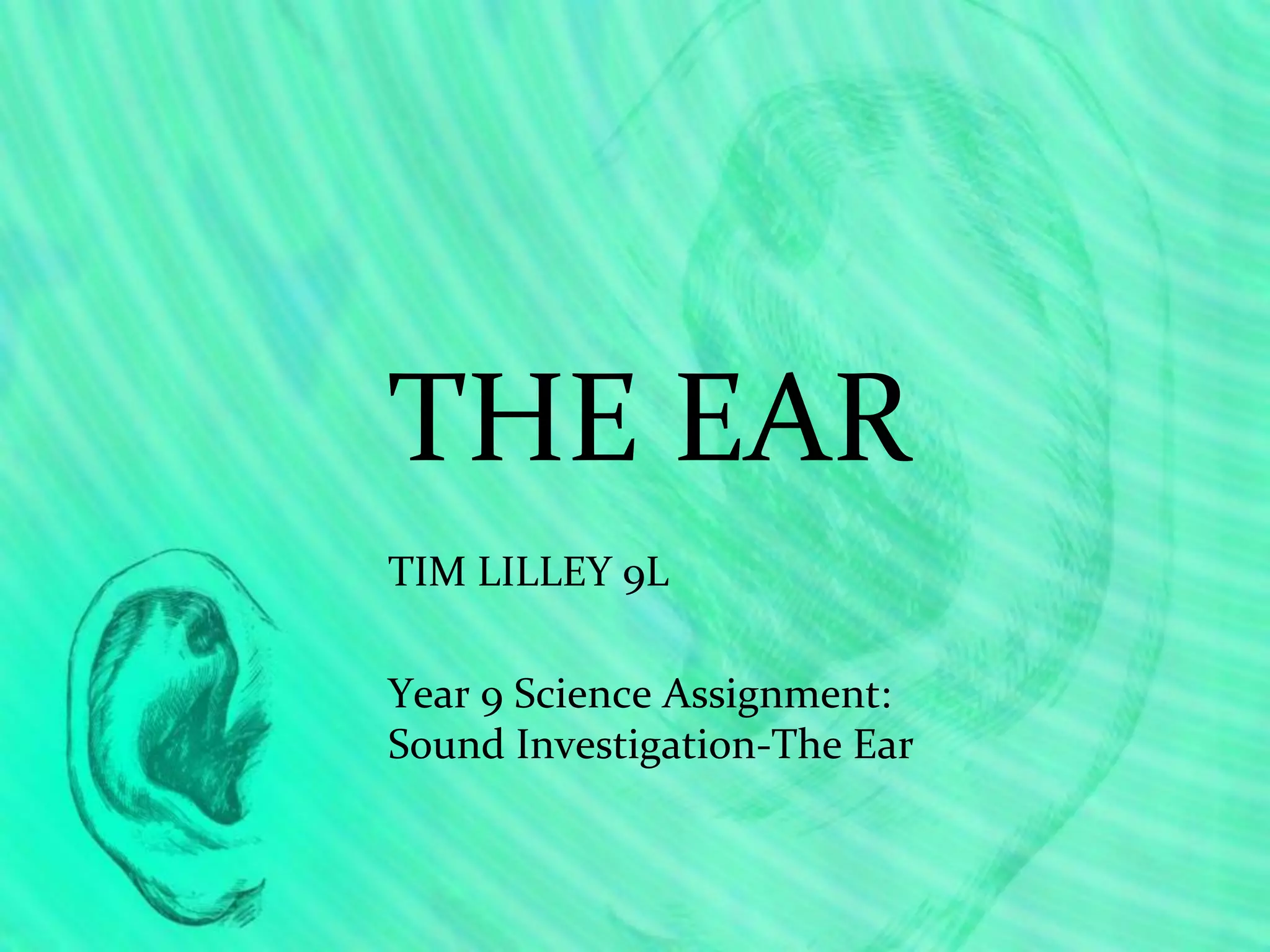 Sound Assignment-The Ear Investigation | PPTX