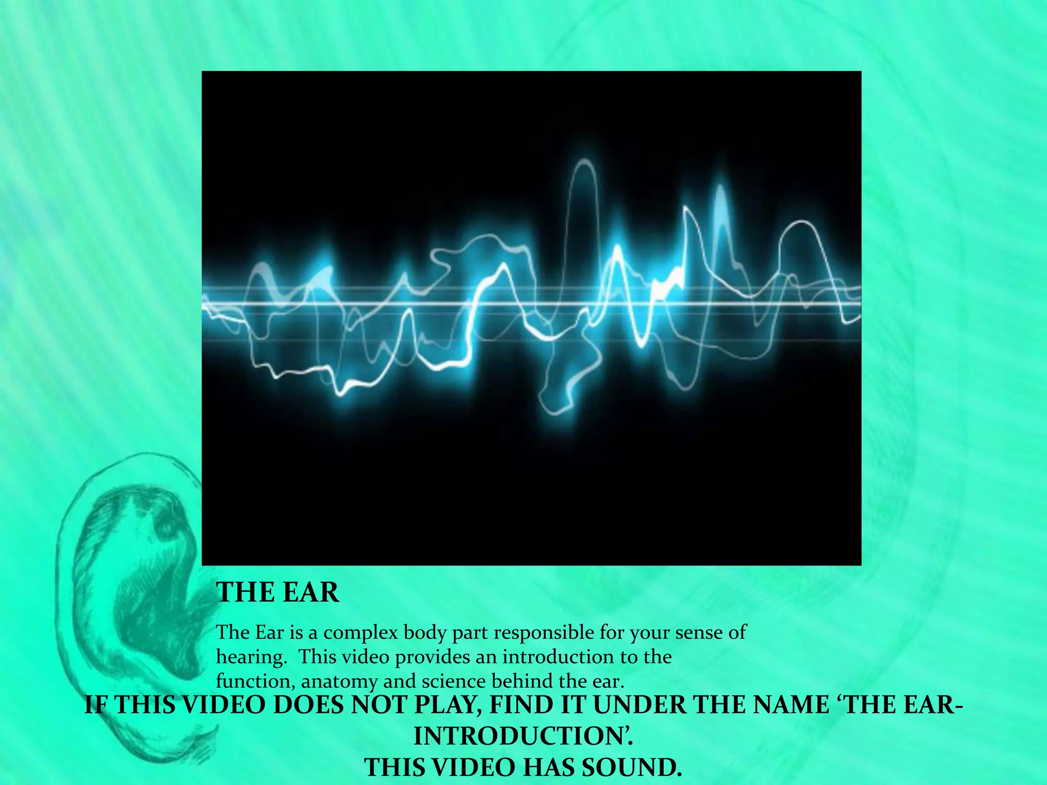 Sound Assignment-The Ear Investigation | PPTX