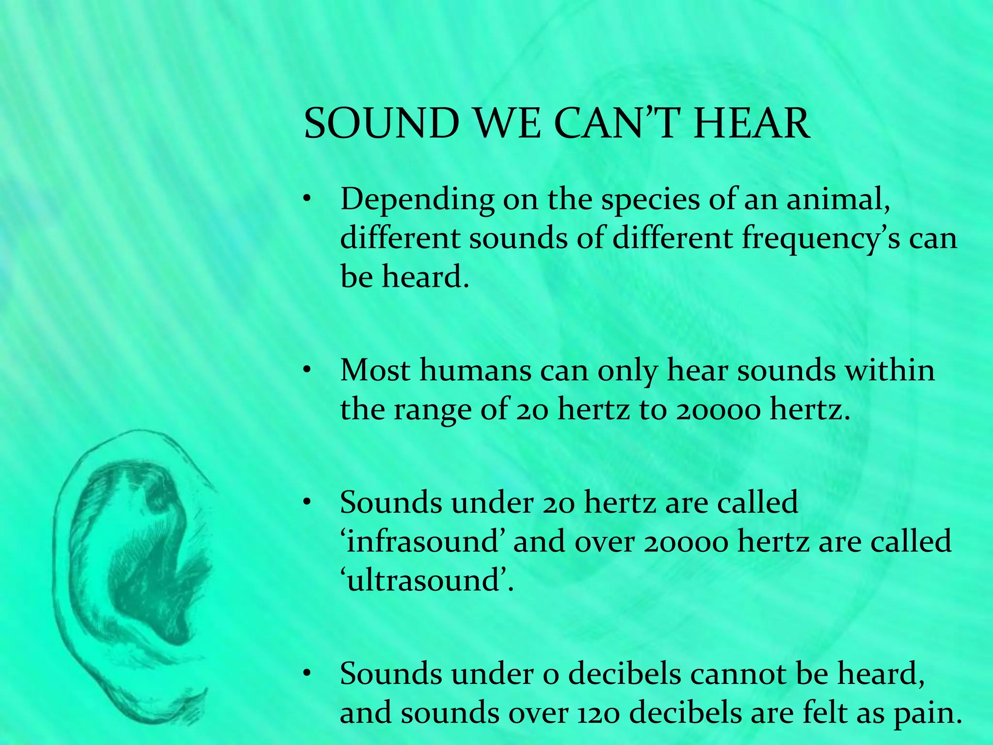 Sound Assignment-The Ear Investigation | PPTX