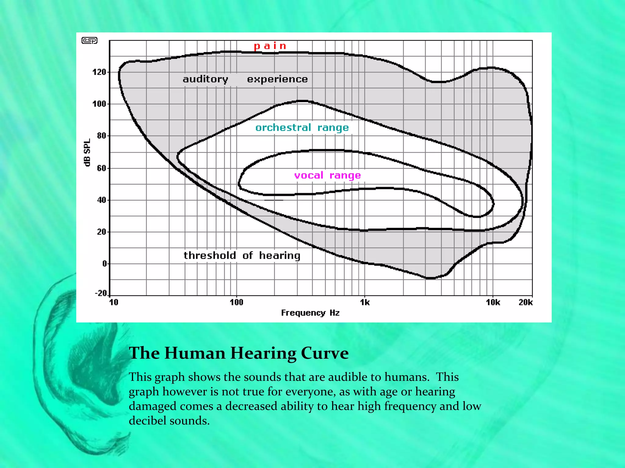 Sound Assignment-The Ear Investigation | PPTX