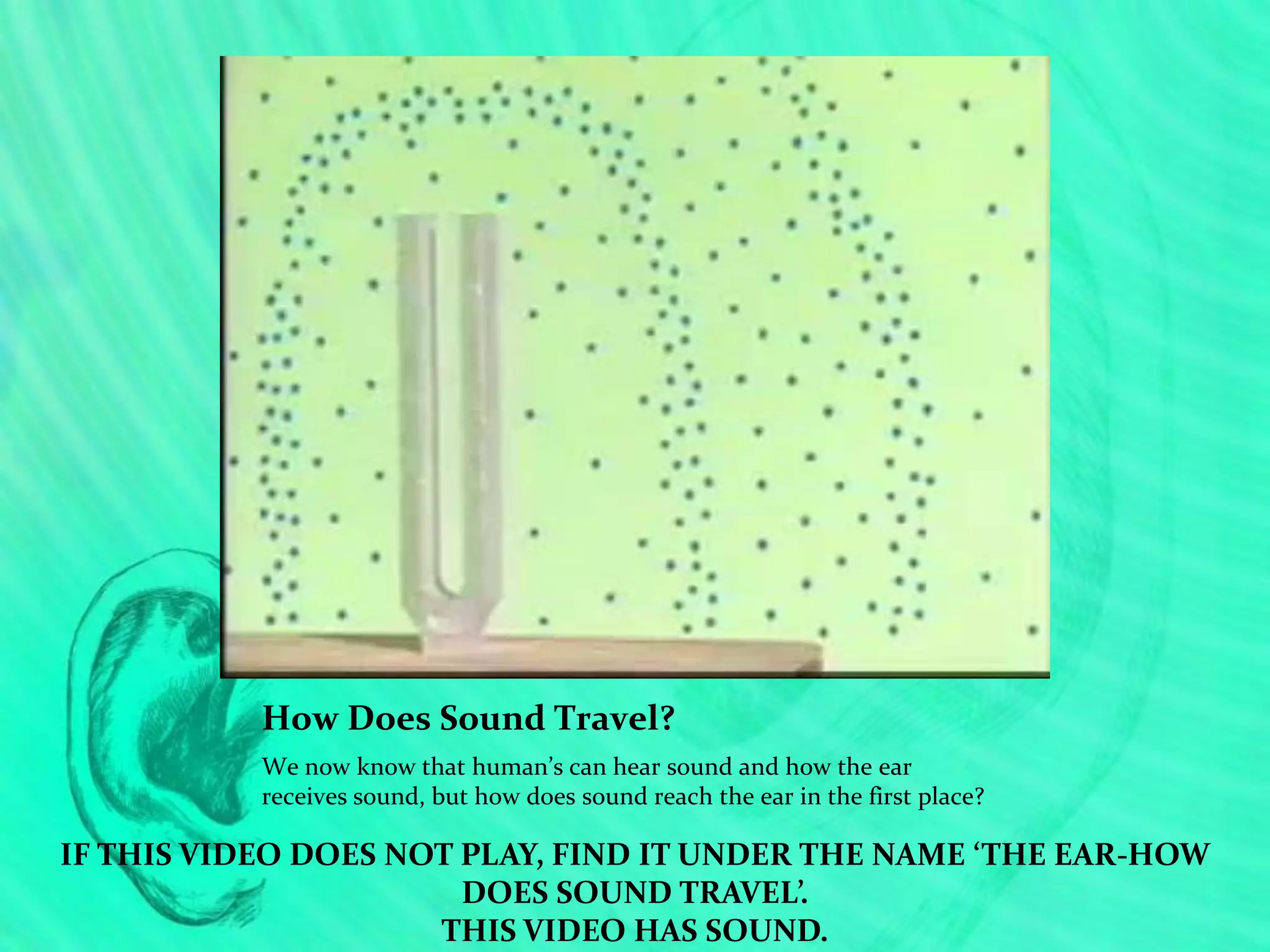 Sound Assignment-The Ear Investigation | PPTX