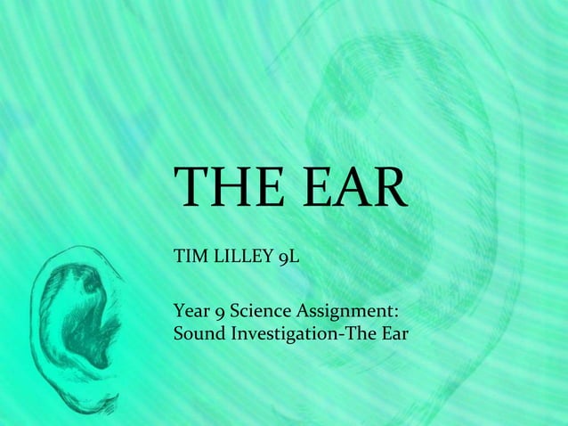 Sound Assignment-The Ear Investigation | PPTX
