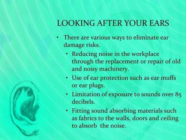Sound Assignment-The Ear Investigation | PPTX