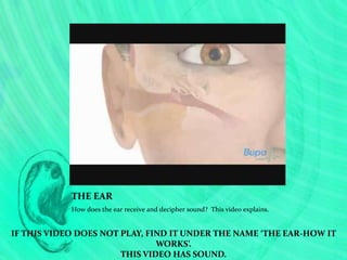 Sound Assignment-The Ear Investigation | PPTX