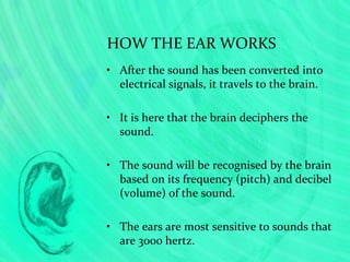 Sound Assignment-The Ear Investigation | PPTX