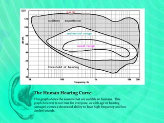 Sound Assignment-The Ear Investigation | PPTX