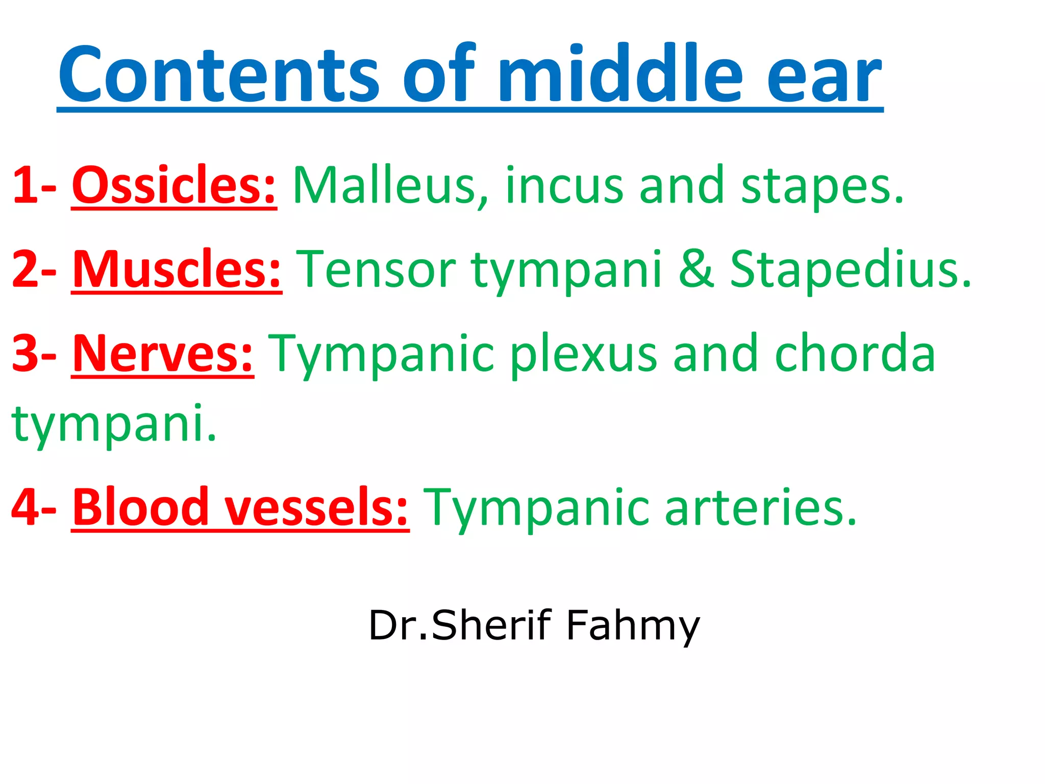The Ear (Anatomy of the Neck) | PPS
