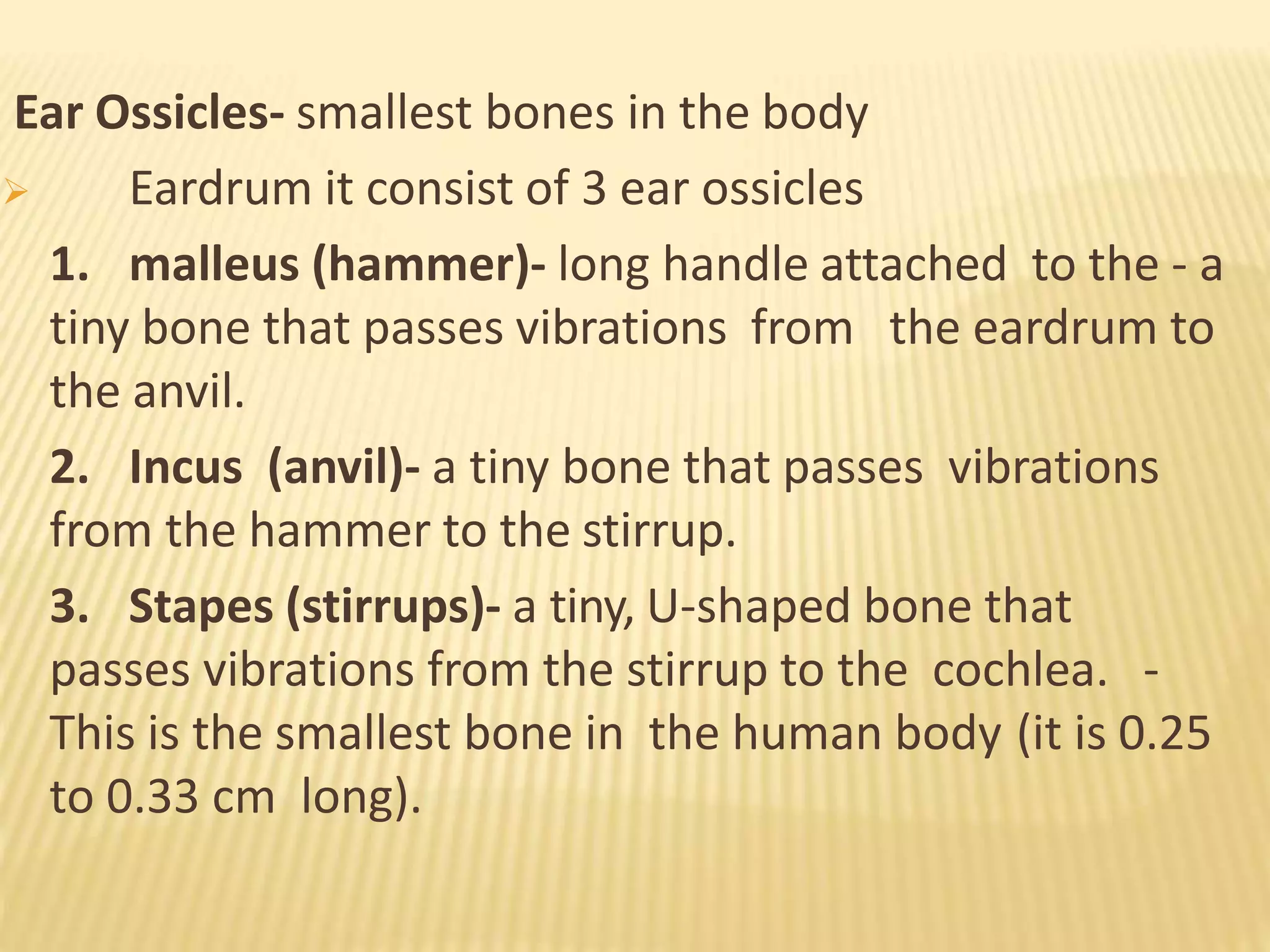The ear | PPTX