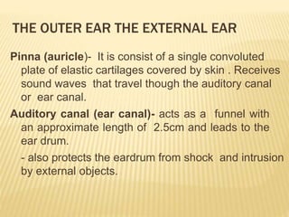 The ear | PPTX