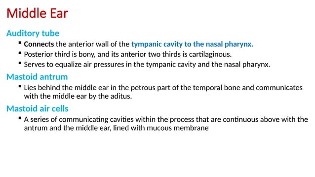 Anatomy of Ear by aizaz khan || International | PPTX