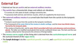 Anatomy of Ear by aizaz khan || International | PPTX