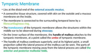 Anatomy of Ear by aizaz khan || International | PPT