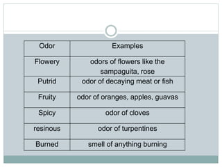 The Ear (Its Structure, Nature and Mechanism) And Mechanism of Smell | PPT
