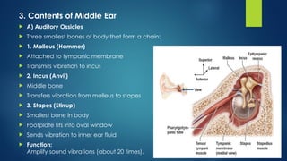 The Ear Anatomy Speech Language Pathology-1 lecture 11.pptx