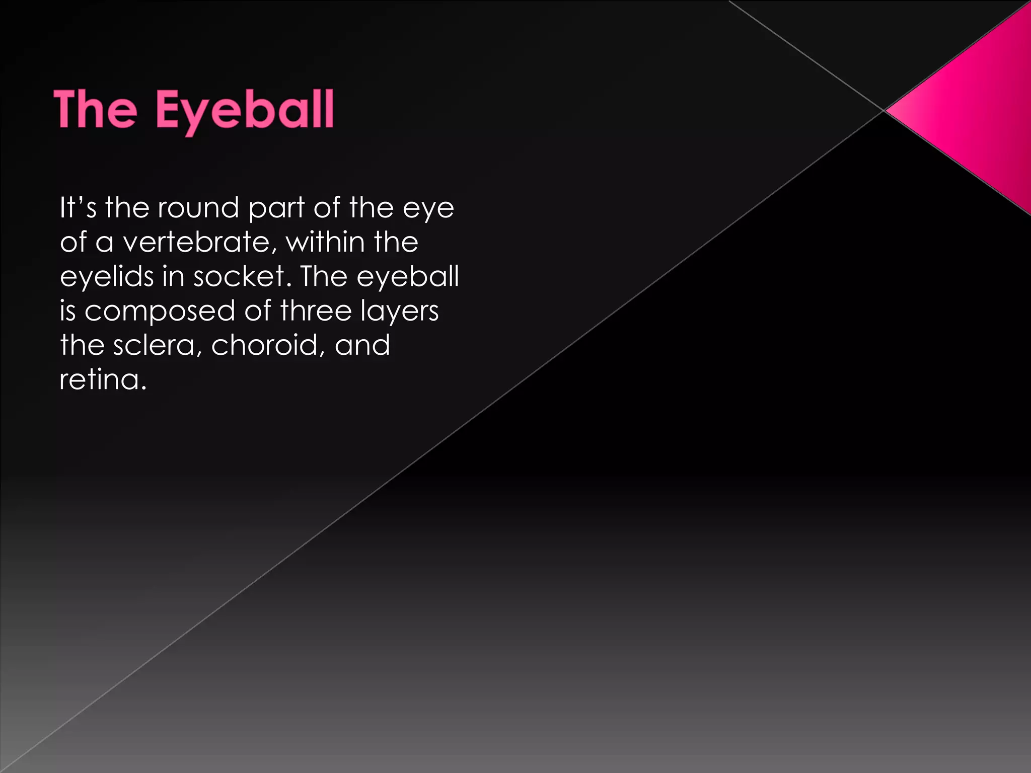 The ear and eye | PPTX