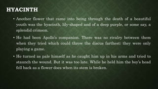 The Earliest Heroes | PPTX