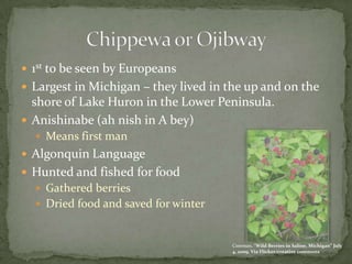 The Early Days Of Michigan | PPTX