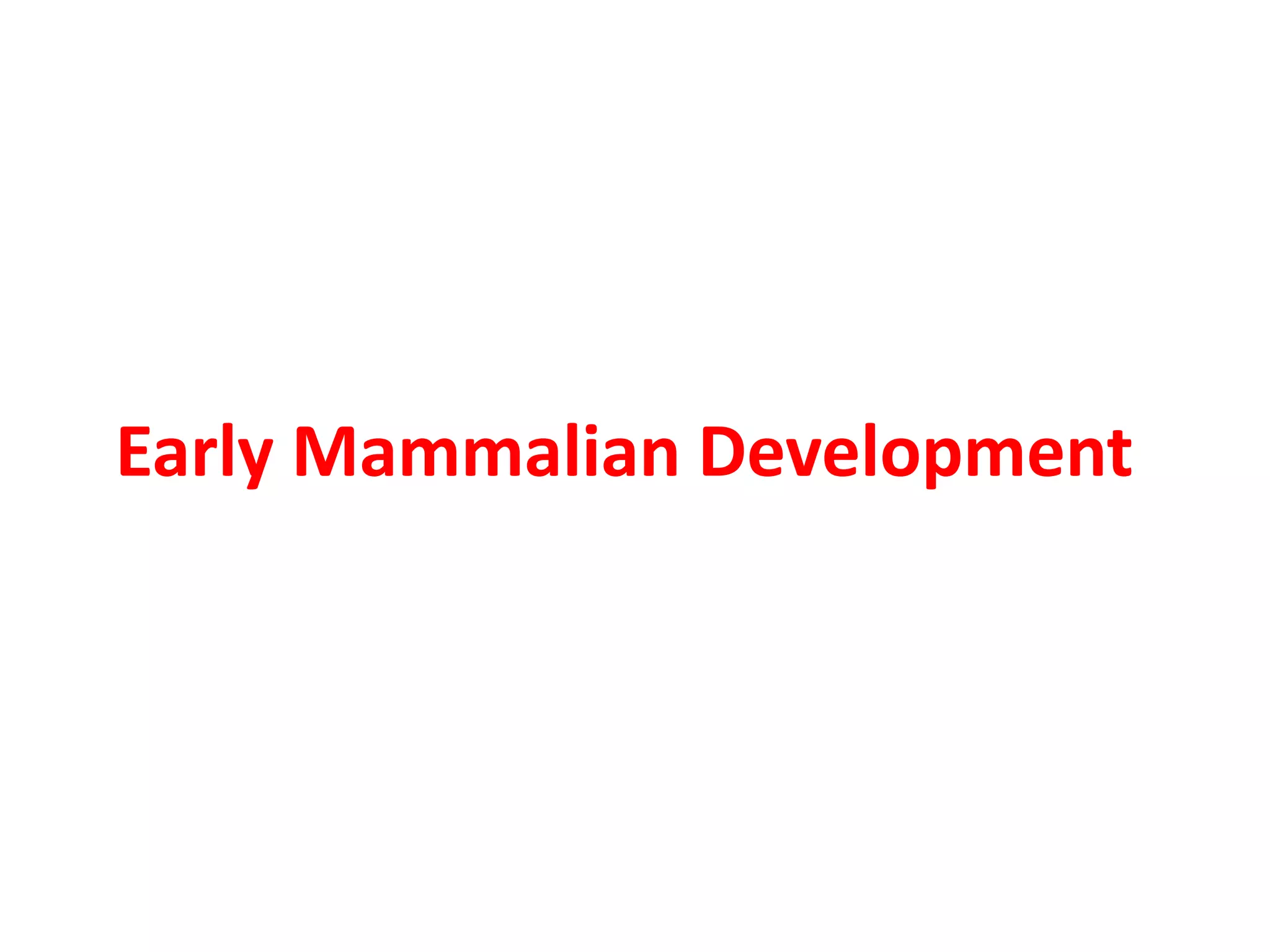 The Early Development of Mammalian.pptx