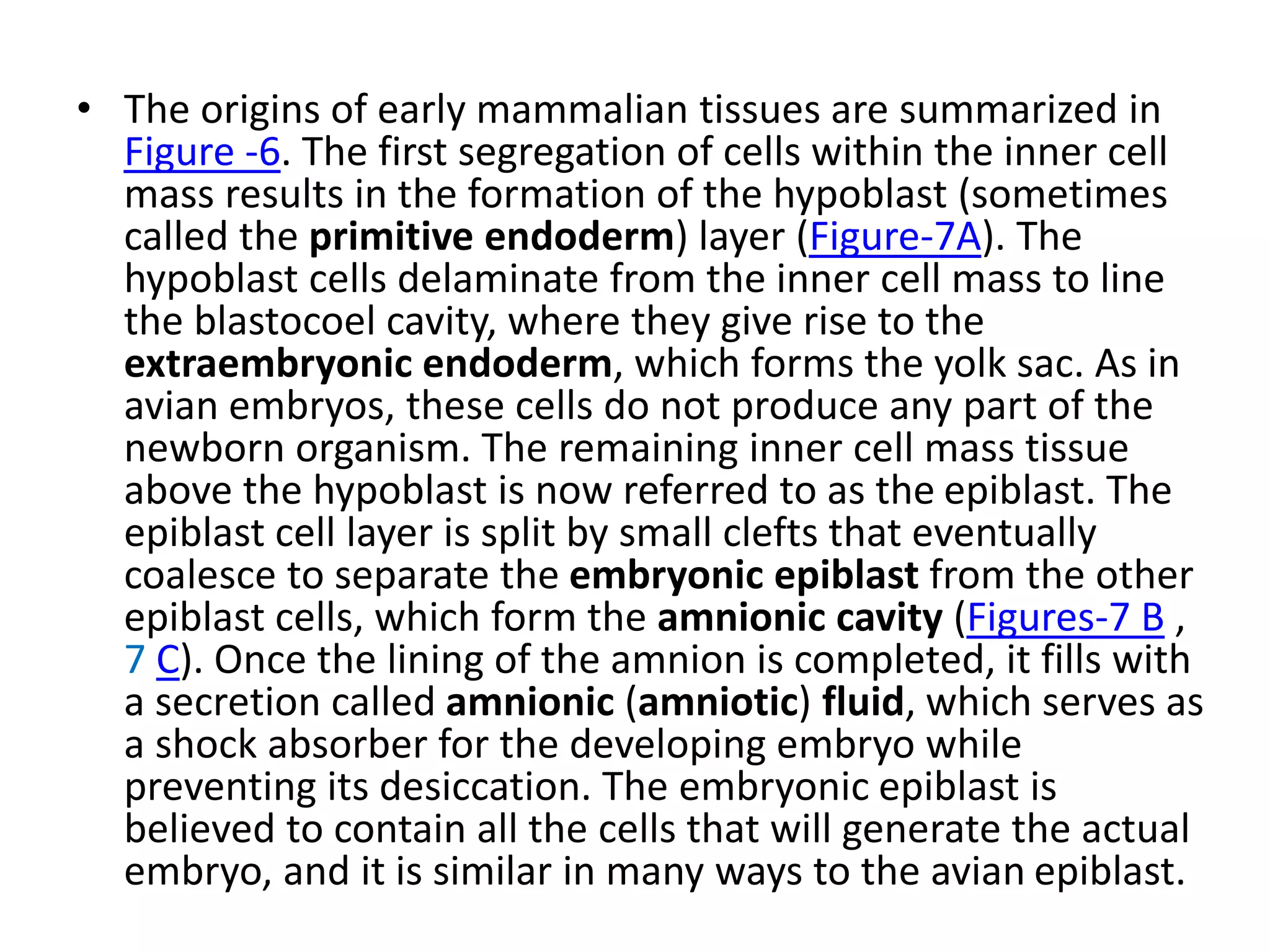 The Early Development of Mammalian.pptx
