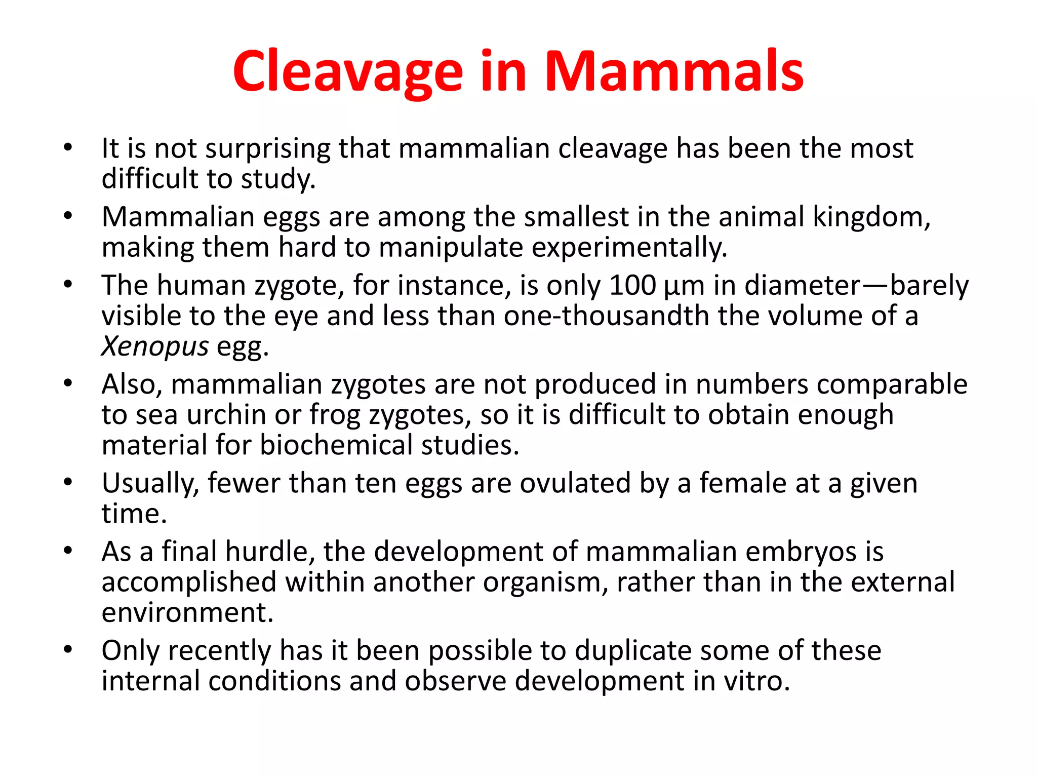 The Early Development of Mammalian.pptx