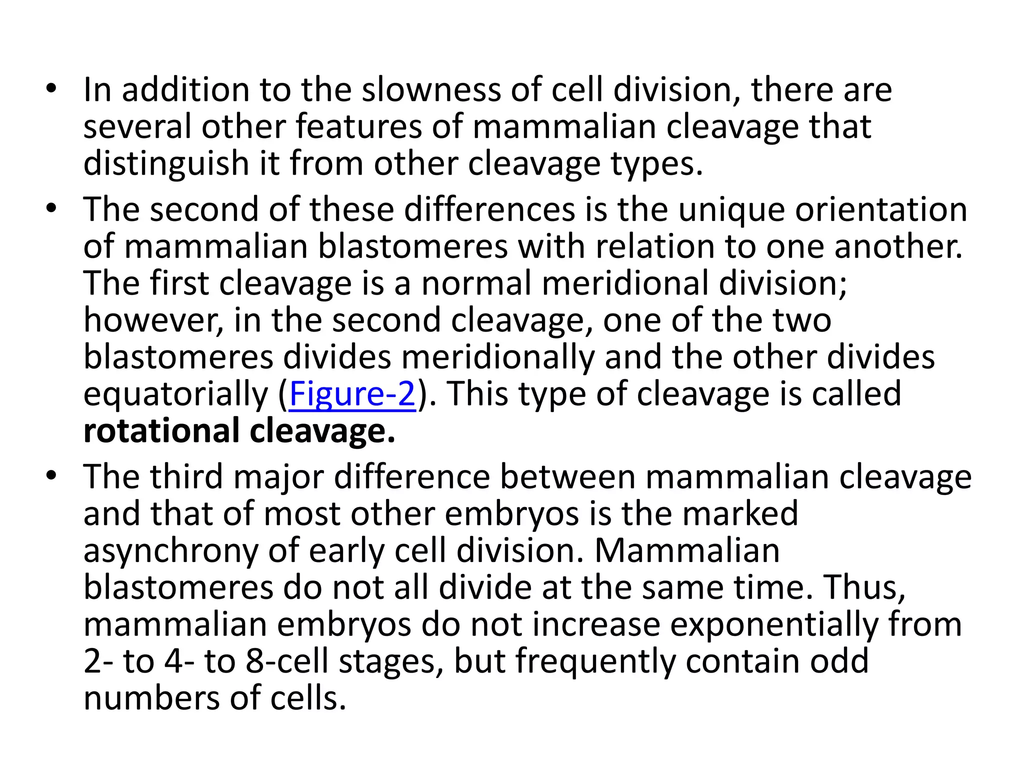 The Early Development of Mammalian.pptx