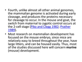 The Early Development of Mammalian.pptx