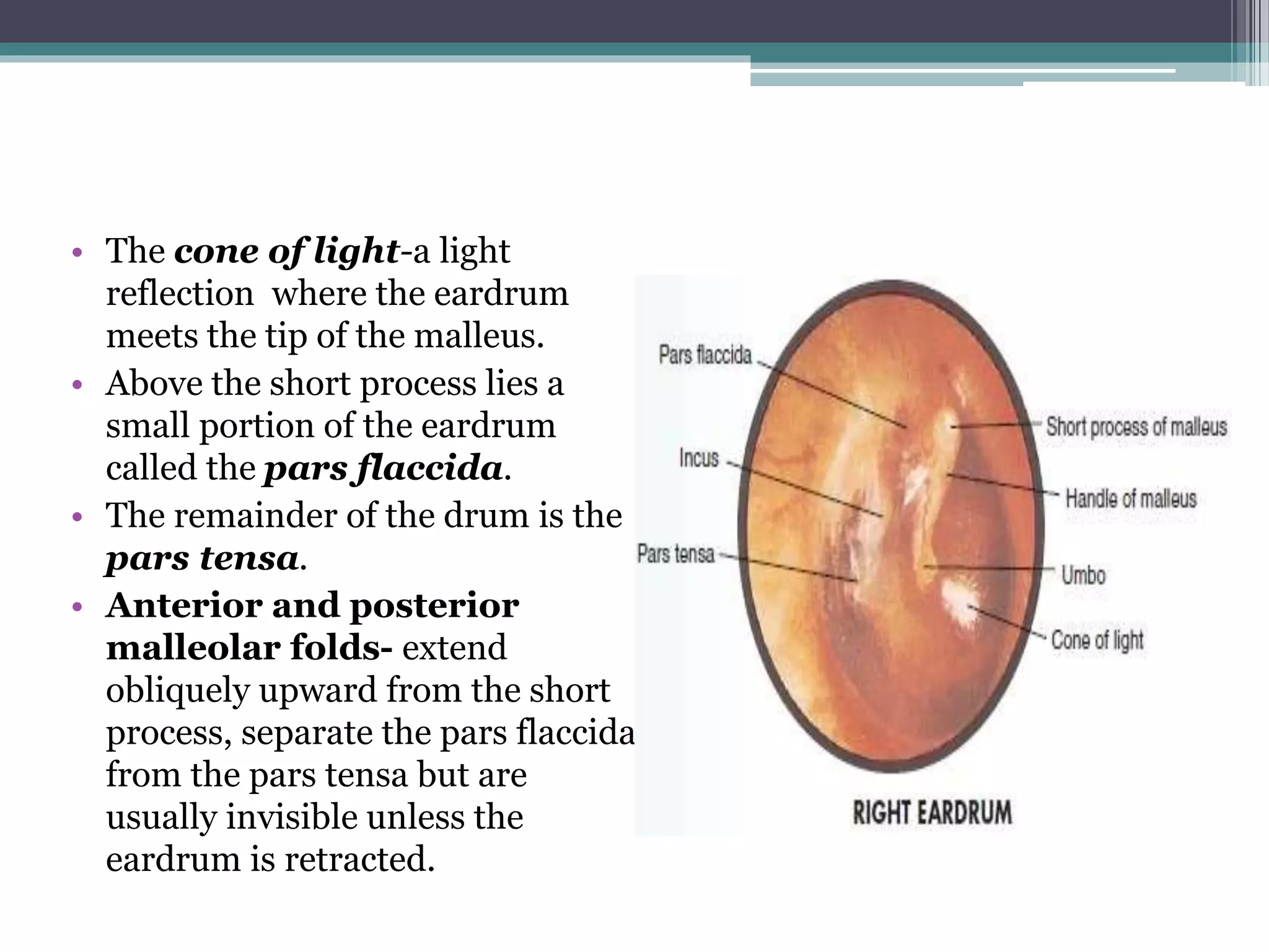 The ear,nose and paranasal sinus | PPTX