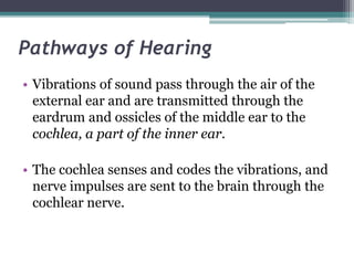 The ear,nose and paranasal sinus | PPTX