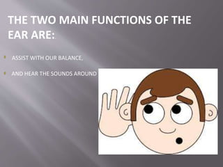 The ear {ppt} | PPTX