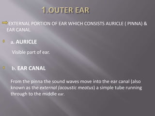 The ear {ppt} | PPTX