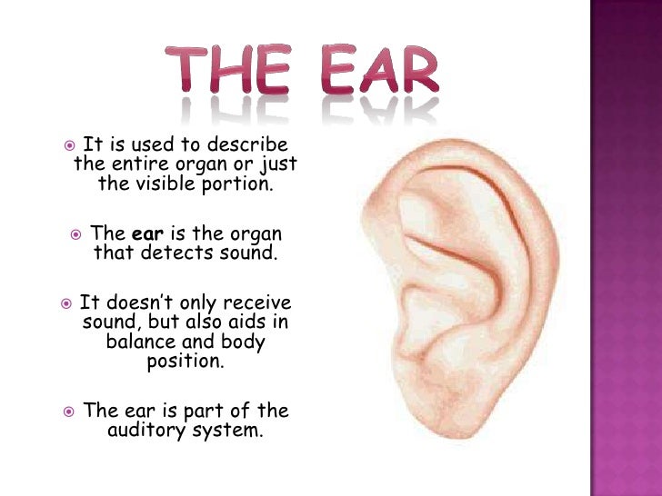 The Ears Hearing And Balance Presentation Presentation