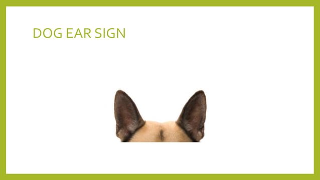 Ear signs in radiology | PPTX | Death, Injury, or Military Conflict ...