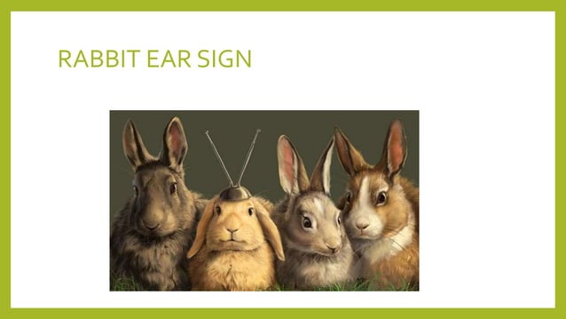 Ear signs in radiology | PPTX | Death, Injury, or Military Conflict ...