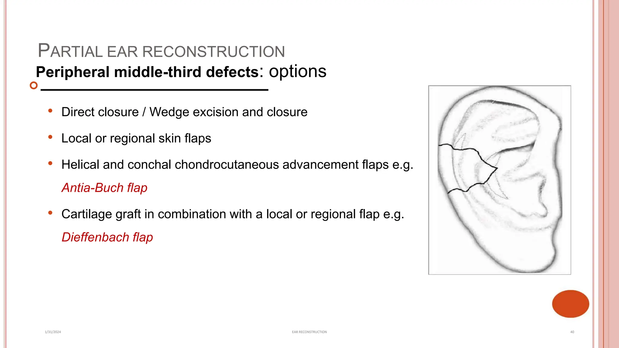 the ear structure.ppt