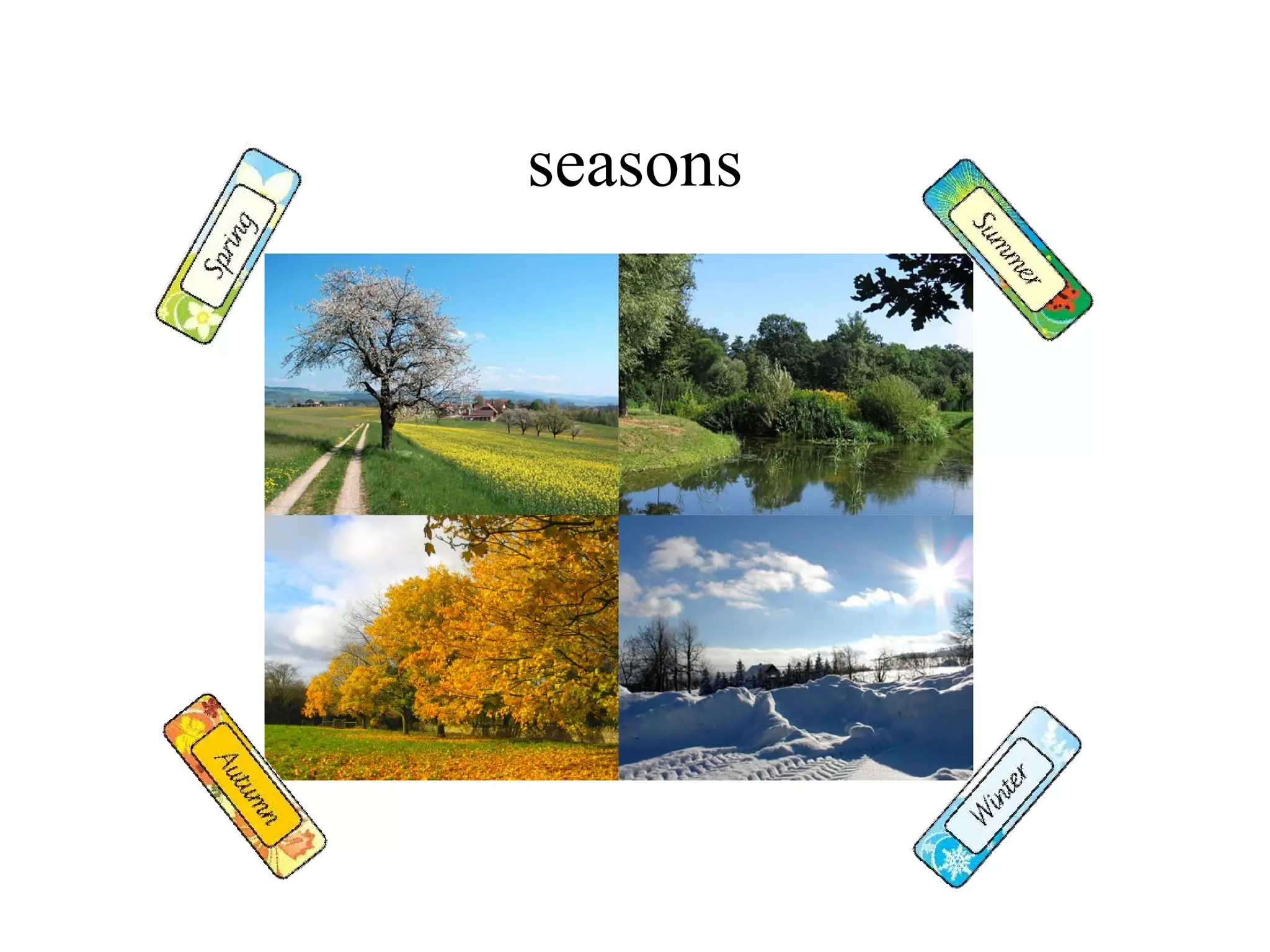 The Earth: basic vocabulary | PPT