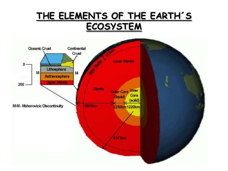 The earth is an ecosystem ii