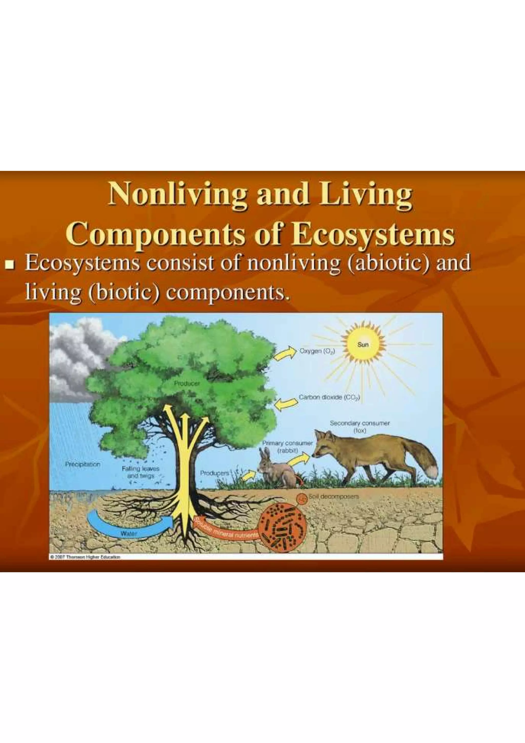 The earth life support system-slideshare | PDF