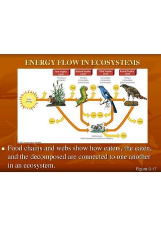 The earth life support system-slideshare | PDF | Environmental Services ...