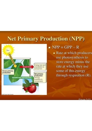 The earth life support system-slideshare | PDF | Environmental Services ...