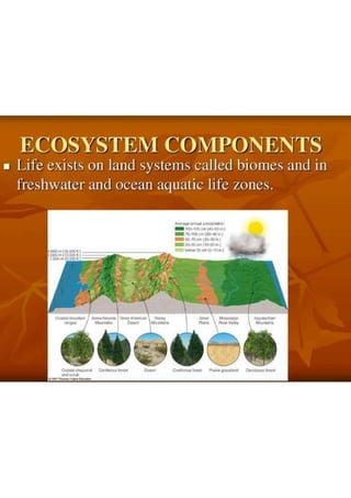 The earth life support system-slideshare | PDF