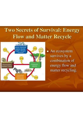 The earth life support system-slideshare | PDF