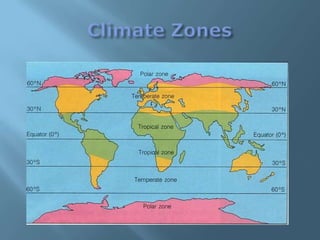 The Earth, Rotation and Revolution | PPTX