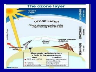 The Earth's Atmosphere Atmospheric Layers.ppt