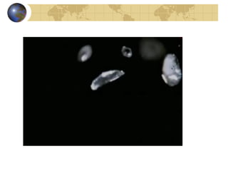 The Earths Crust #2 Mineral Identification | PPT