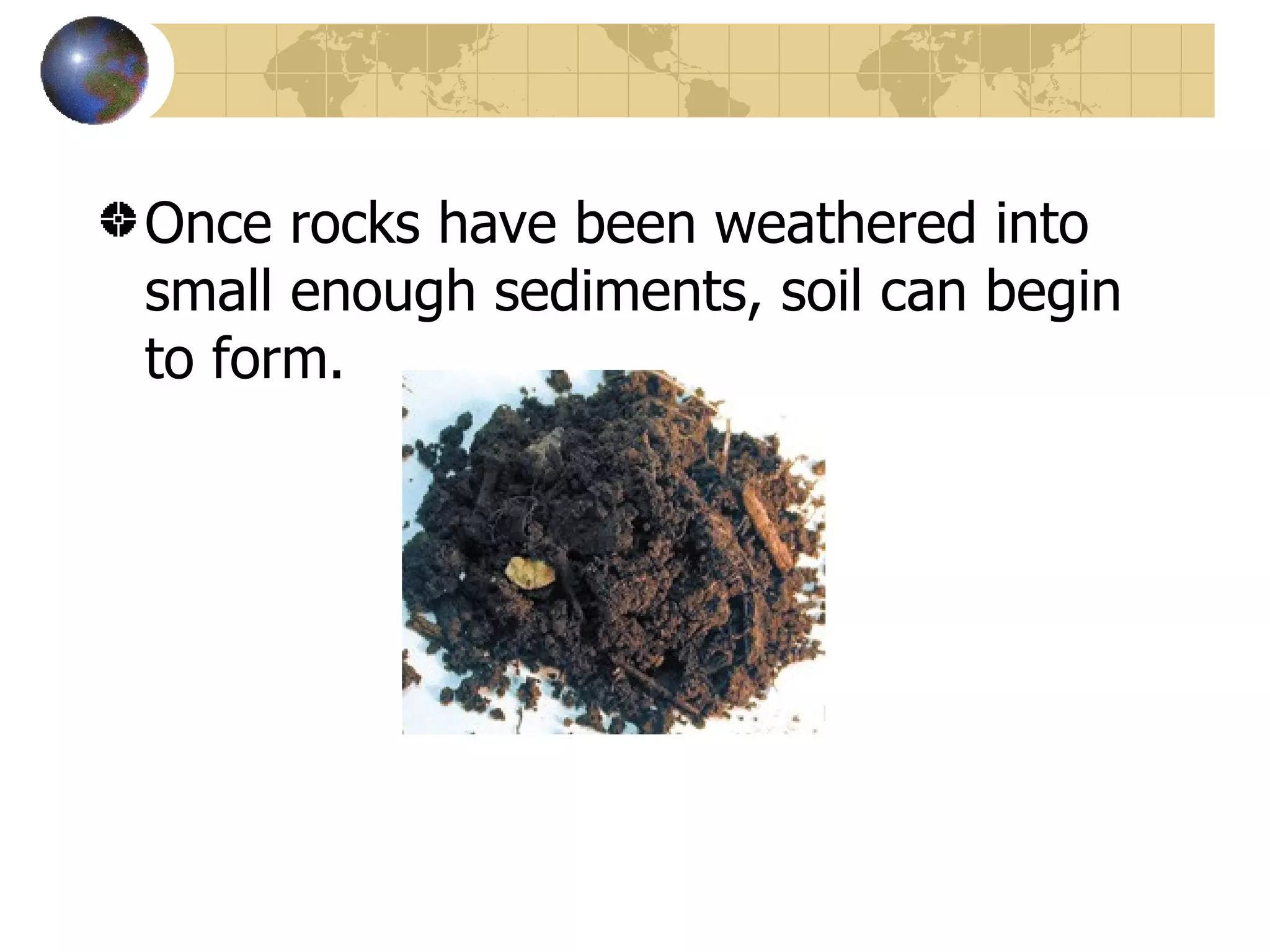 The Earth’S Crust #9 Soil | PPT